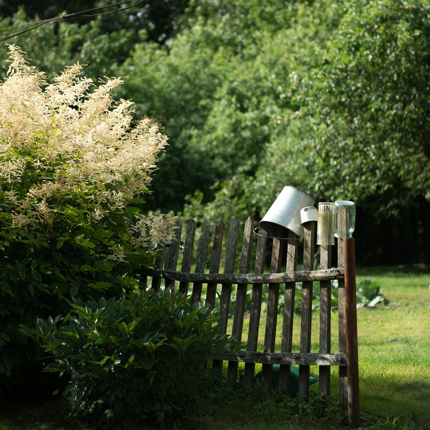 Een (kort) pleidooi voor ecologisch tuinieren | MAY & JUNE
