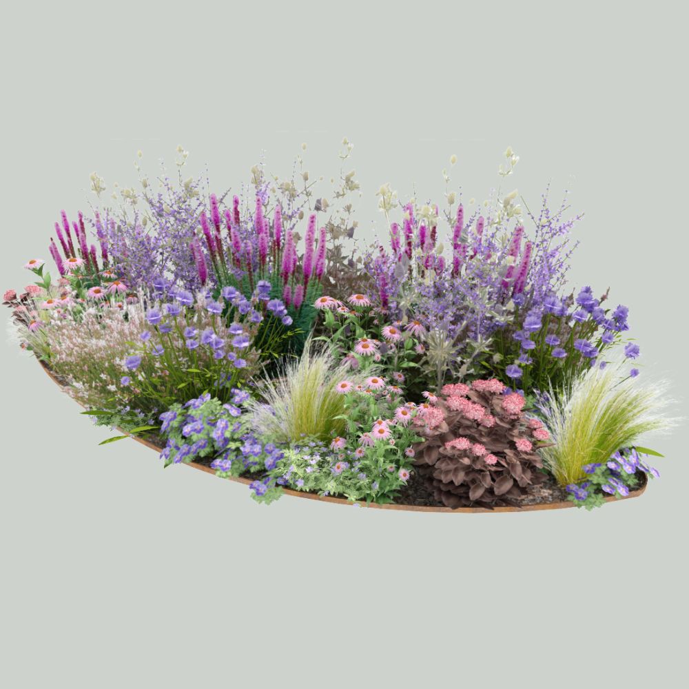 Vaste planten | Schoongekweekt en biologisch | MAY & JUNE