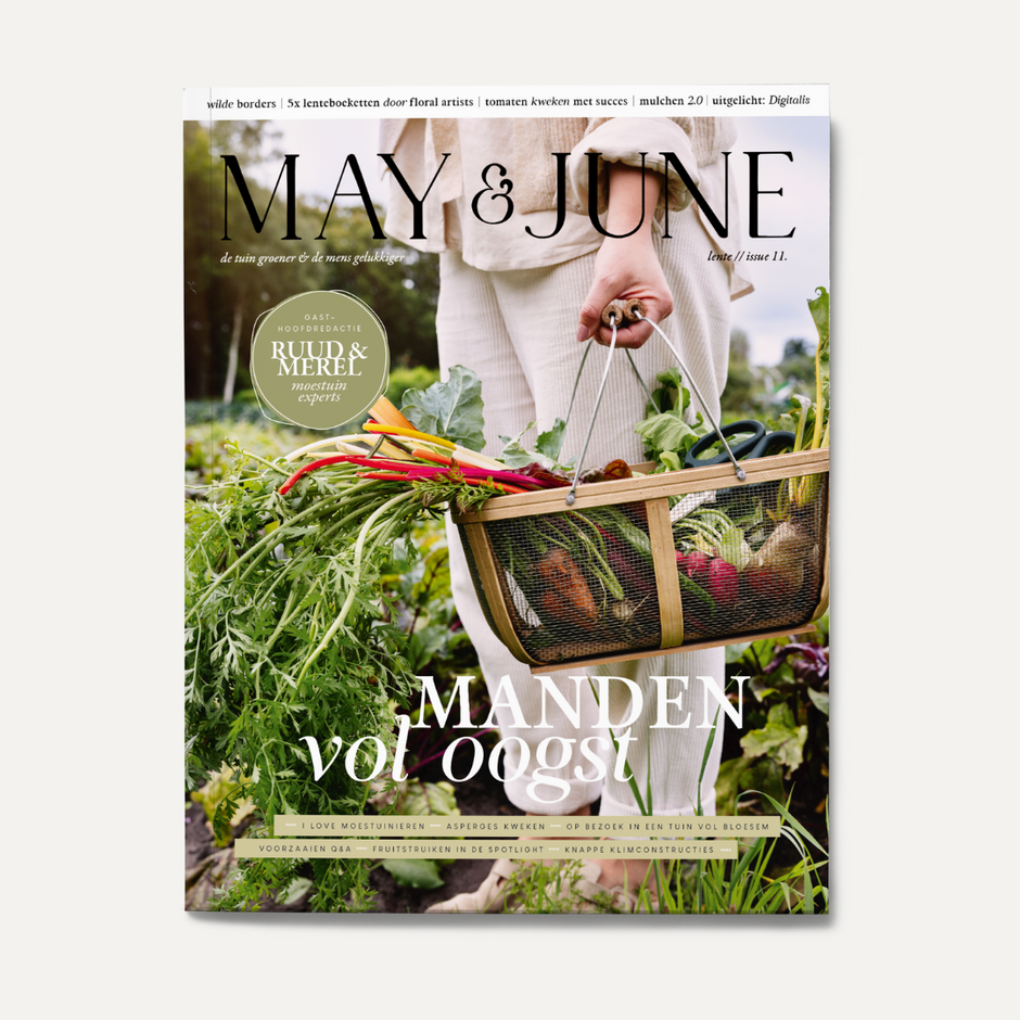 MAY & JUNE magazine | MAY & JUNE