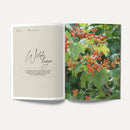 MAY & JUNE magazine #5 | MAY & JUNE