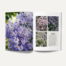 MAY & JUNE magazine #5 | MAY & JUNE