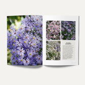 MAY & JUNE magazine #5 | MAY & JUNE
